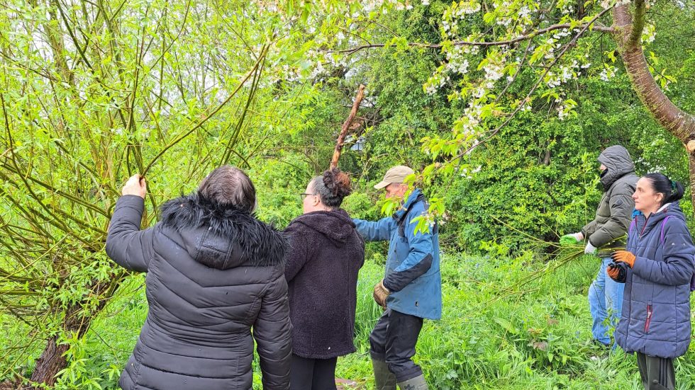 Rabbits Warren - developmentplus